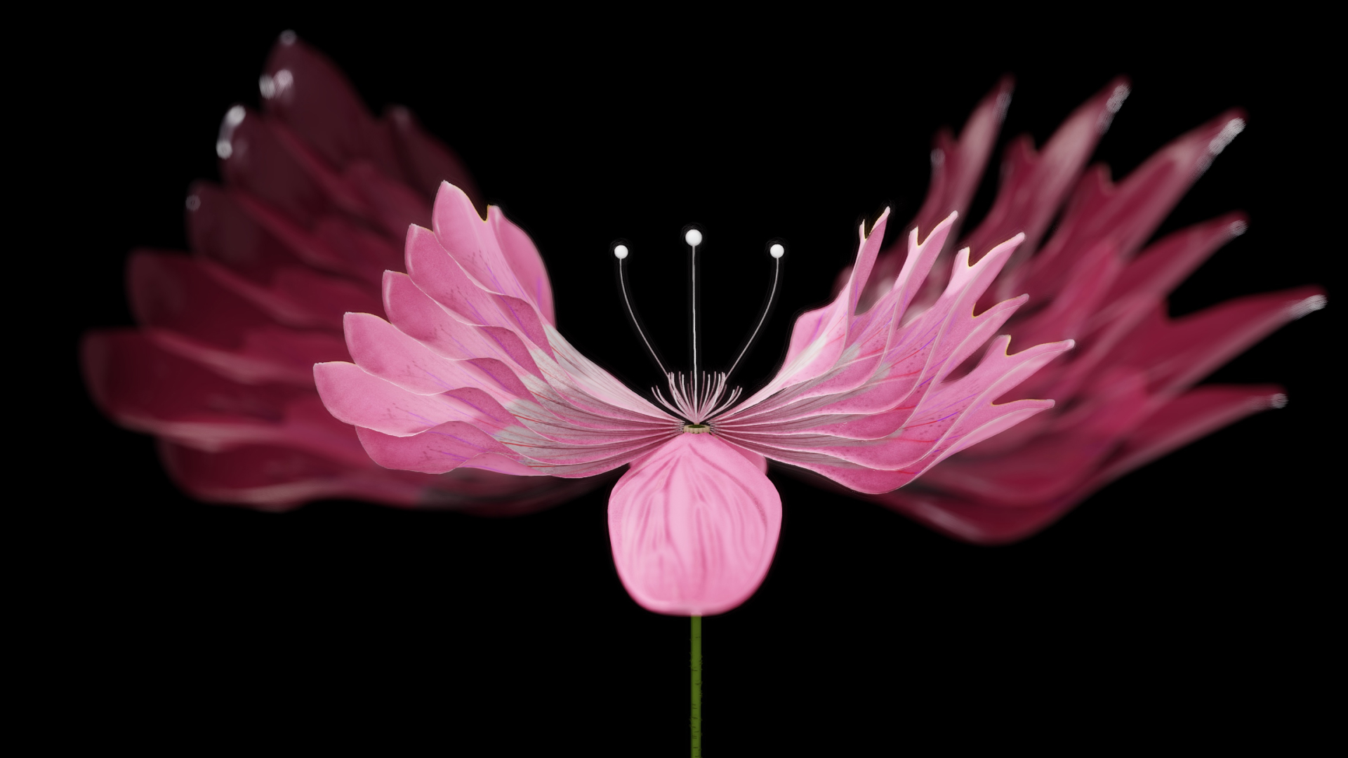 Annelie Berner – Plant Futures · Variable - new ways of experiencing data | https://variable.io